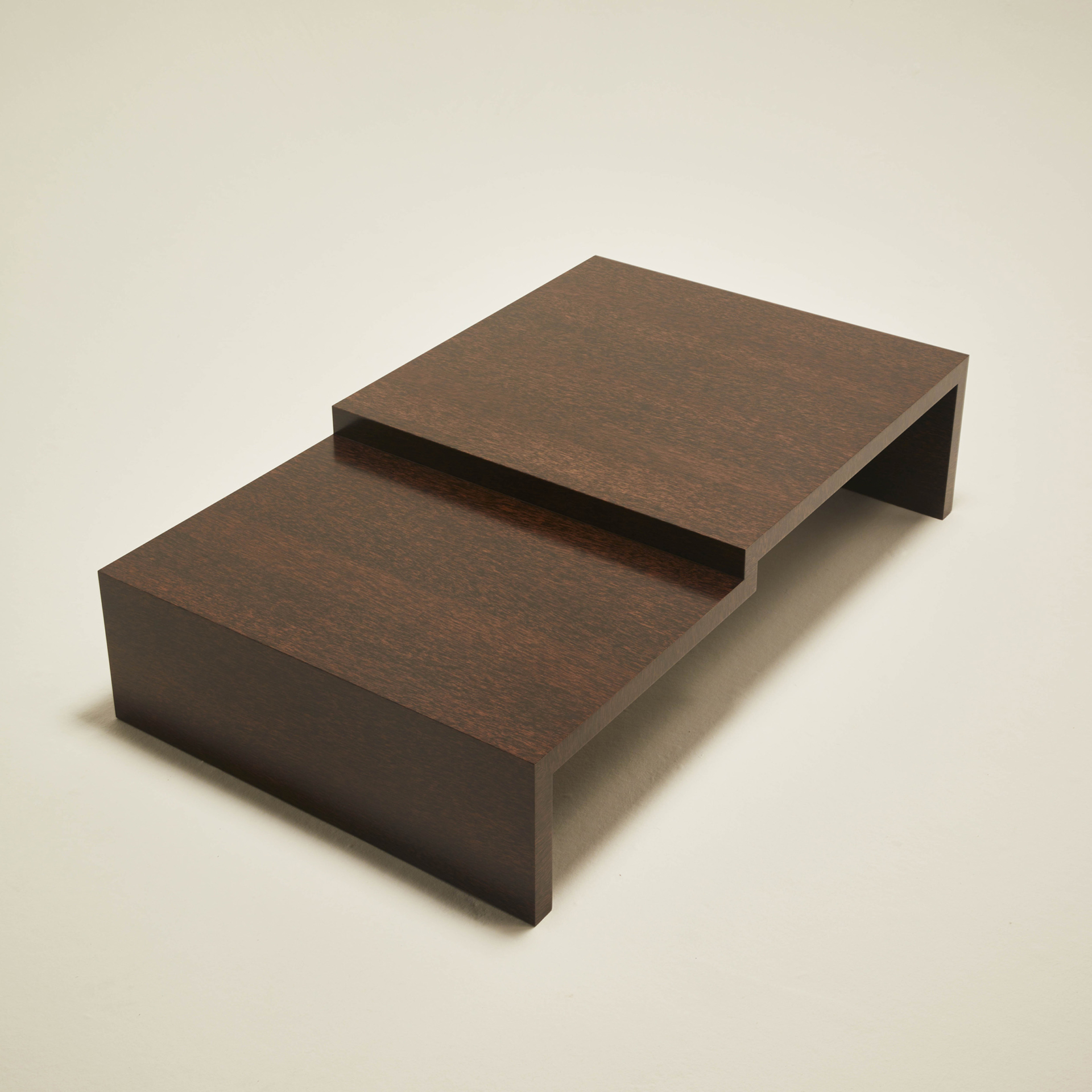 STUDIOTWENTYSEVEN • CONTINUOUS COFFEE TABLE II BY FABIANA MACHADO