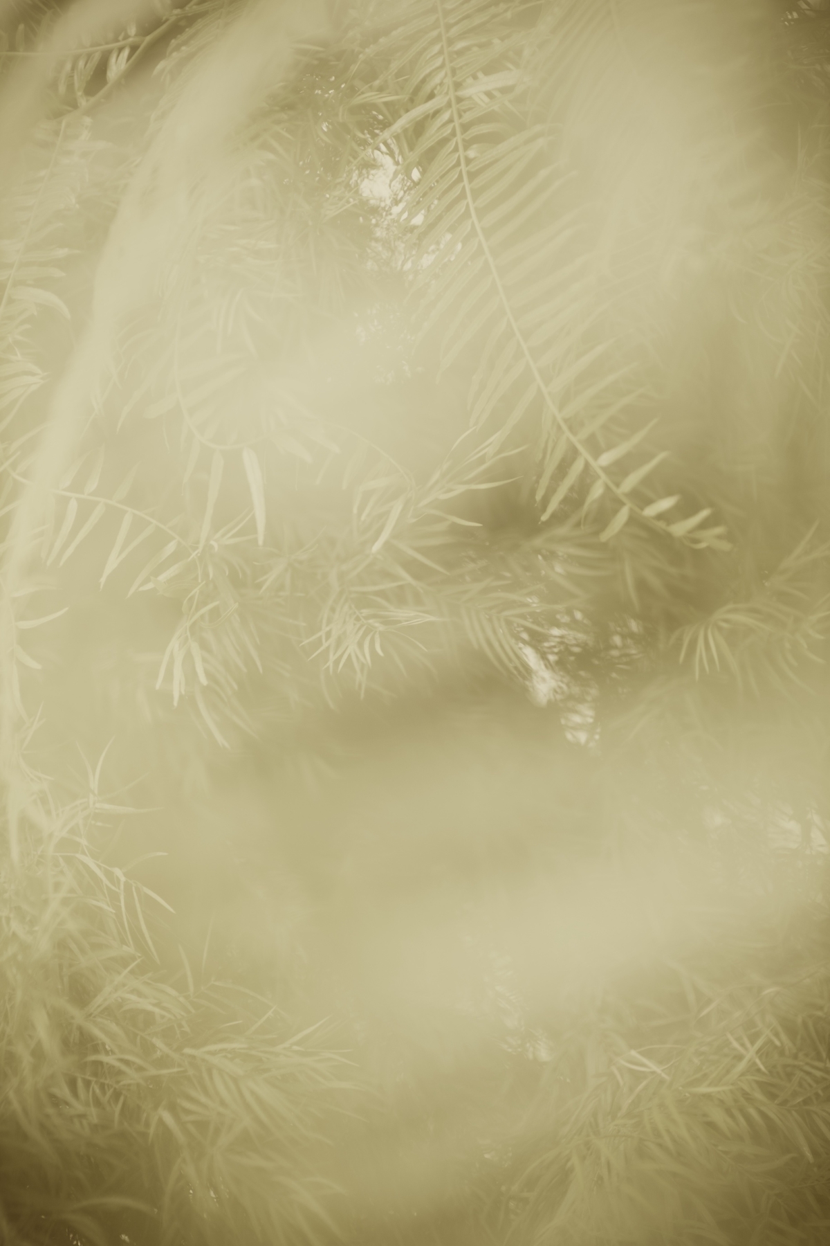 STUDIOTWENTYSEVEN • FRANCESCO BALZANO